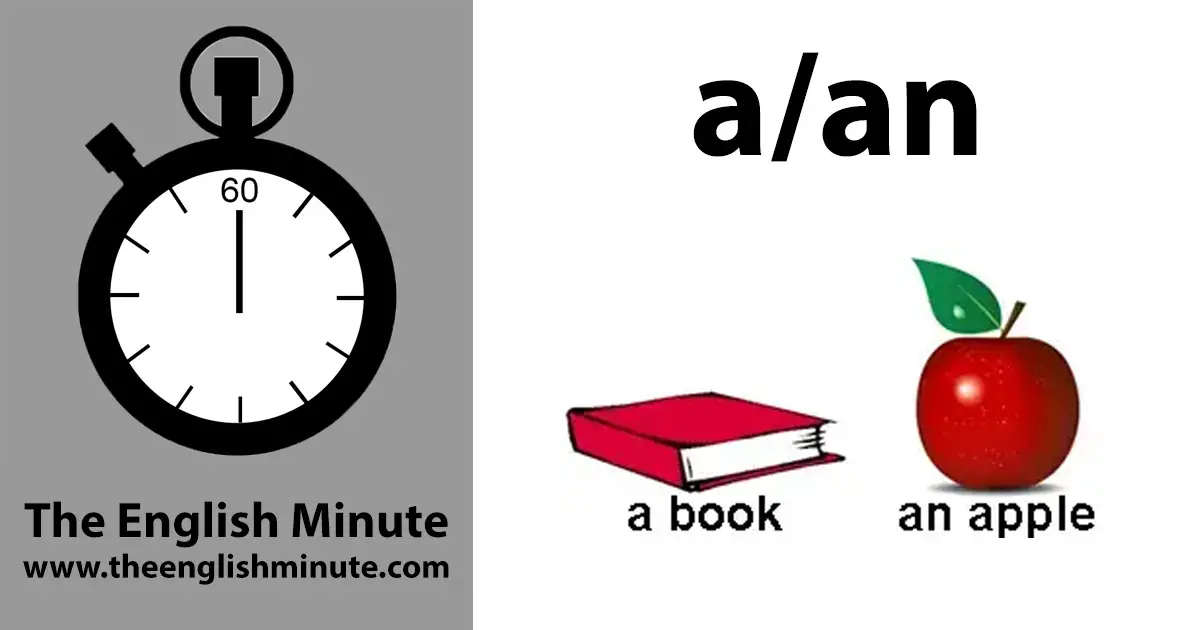 Los artículos a y an | The English Minute