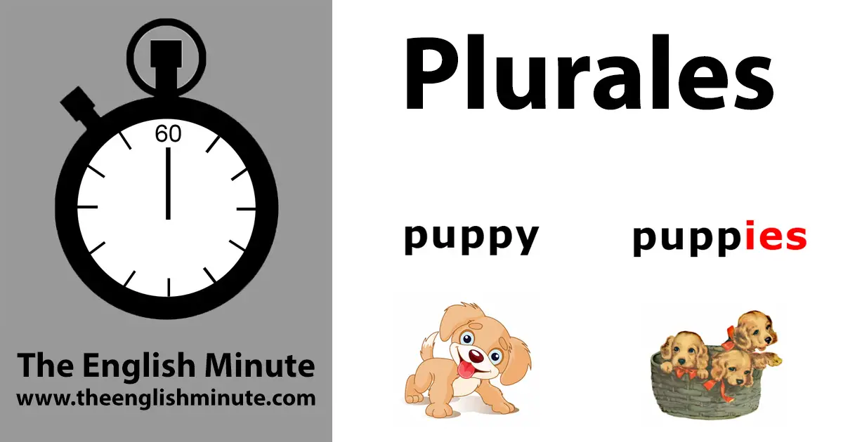 El Plural en Inglés | The English Minute
